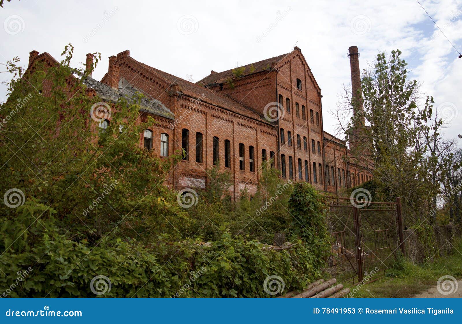 Abandoned factory stock image. Image of overgrown, exterior - 78491953