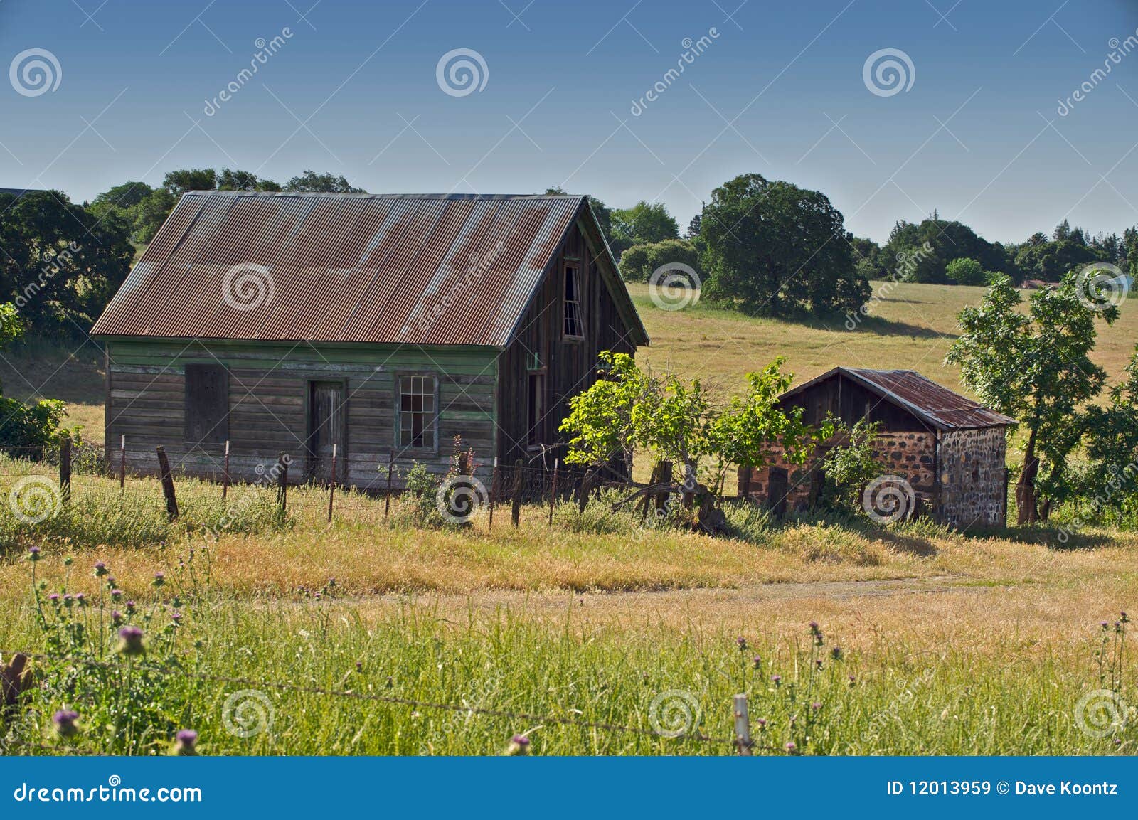 Abandoned Farm House stock image. Image of house, trees - 12013959