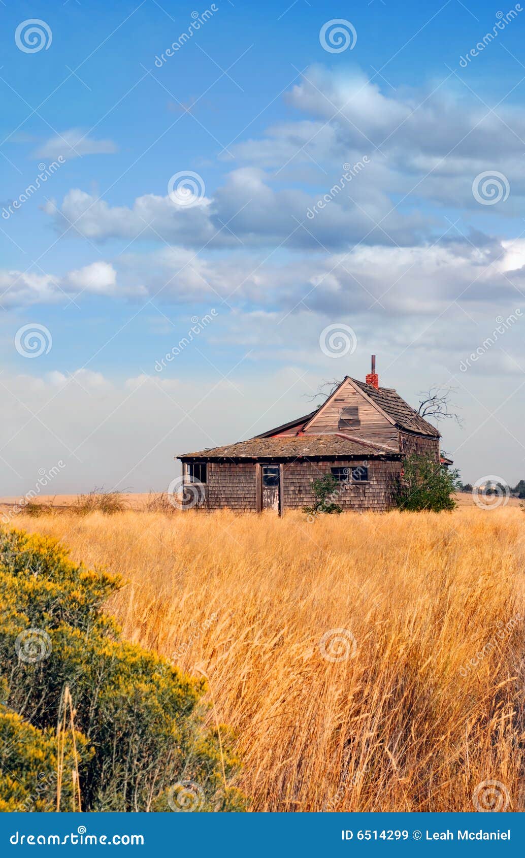 Abandoned Farm House in Oregon Field Stock Image - Image of americana ...