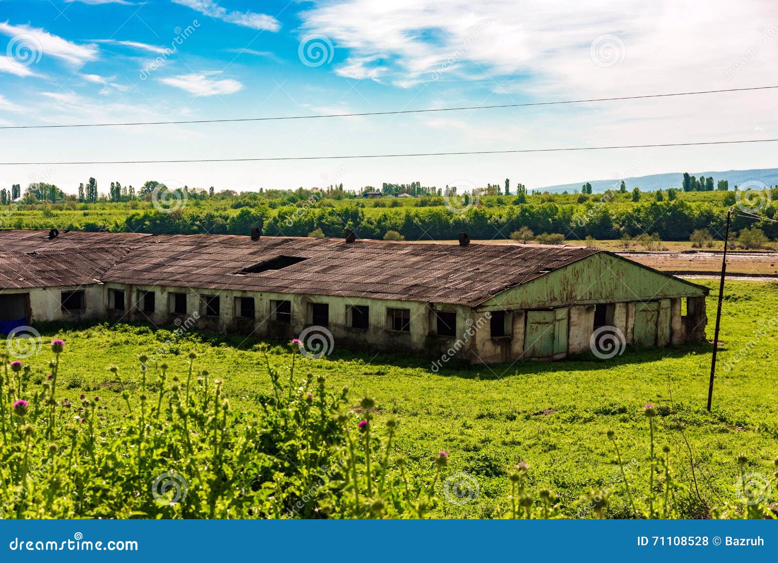 Abandoned farm stock photo. Image of country, field, desolate - 71108528