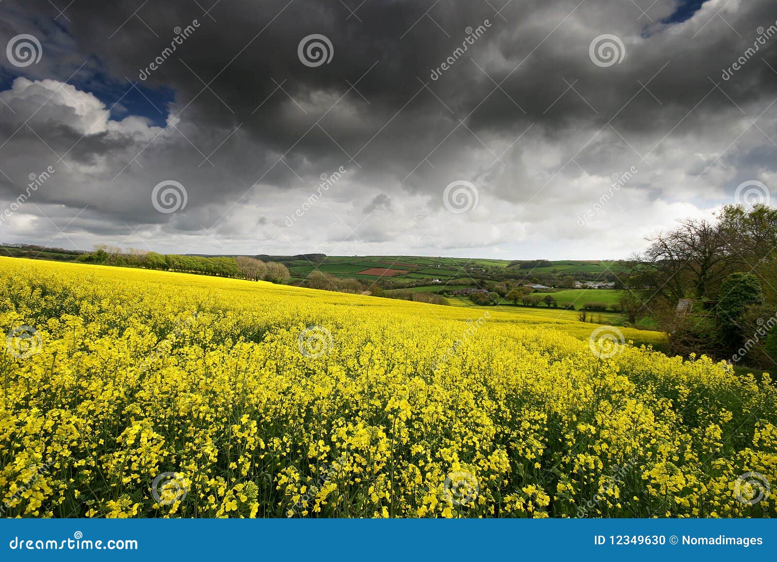 Abandoned Farmhouse in a Field Stock Photo - Image of house, farm: 12349630
