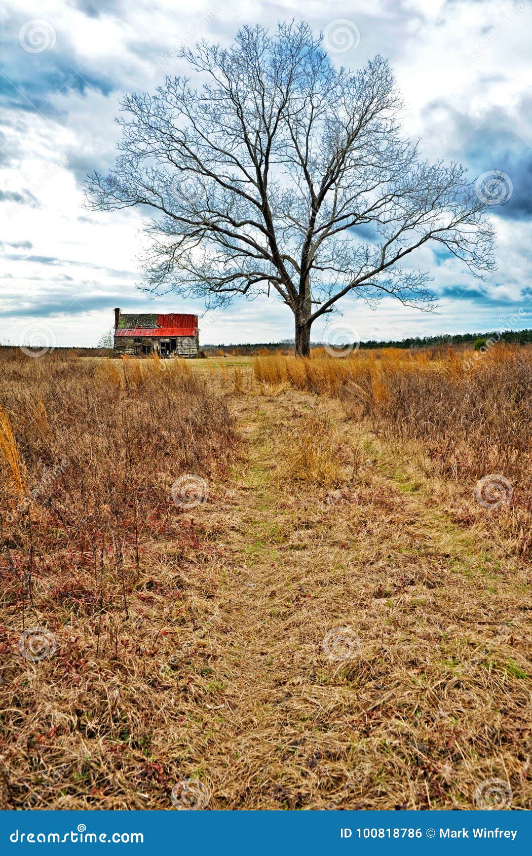 Abandoned Farmhouse stock photo. Image of building, antique - 100818786