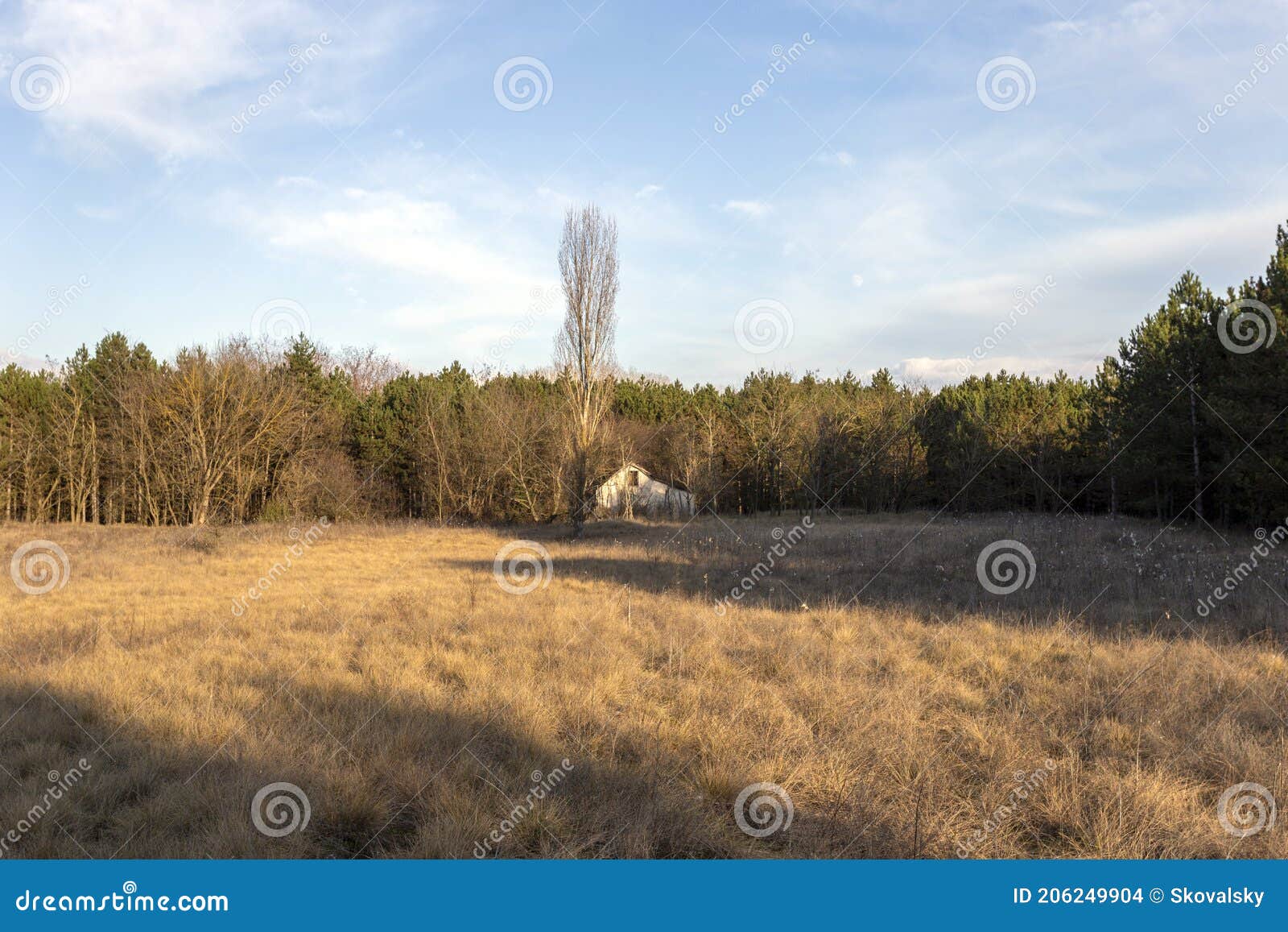 The Old Abandoned Farmstead Of Faberge Is Sunlight. Broken Glass. Stock ...