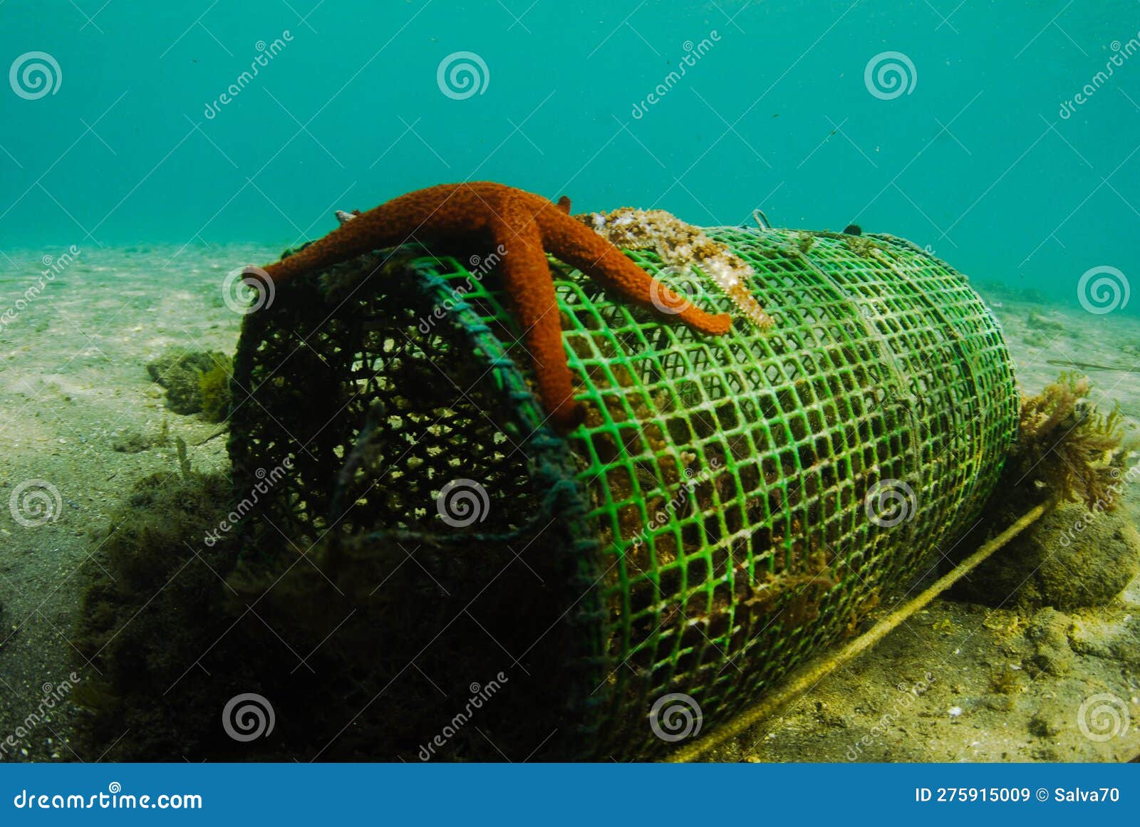 Abandoned fishing nets stock image. Image of amphibian - 275915009