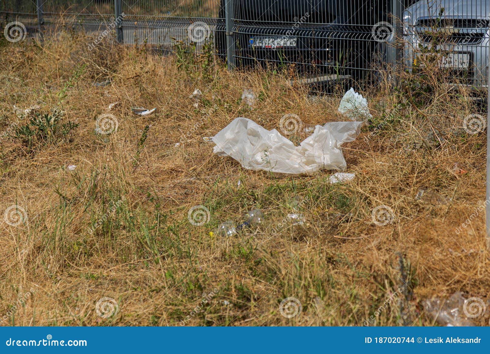 Abandoned Garbage Pollutes Nature. the Concept of the Environmental ...