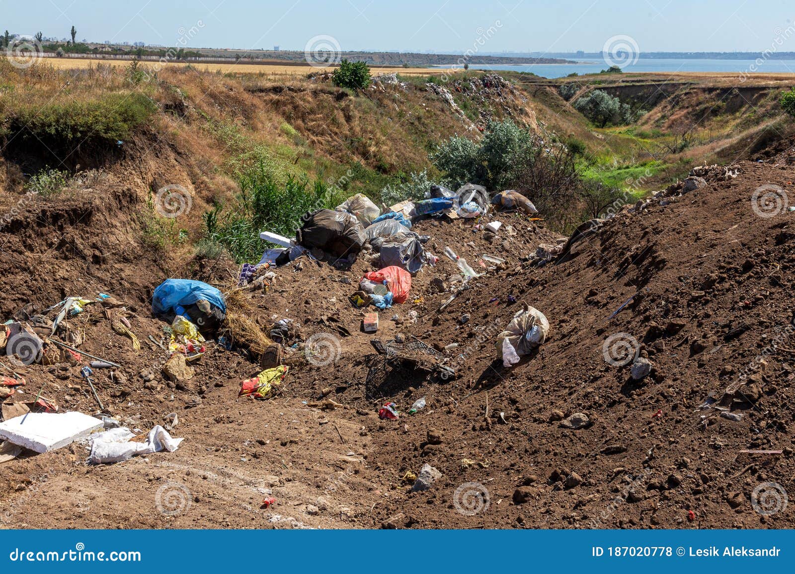 Abandoned Garbage Pollutes Nature. the Concept of the Environmental ...