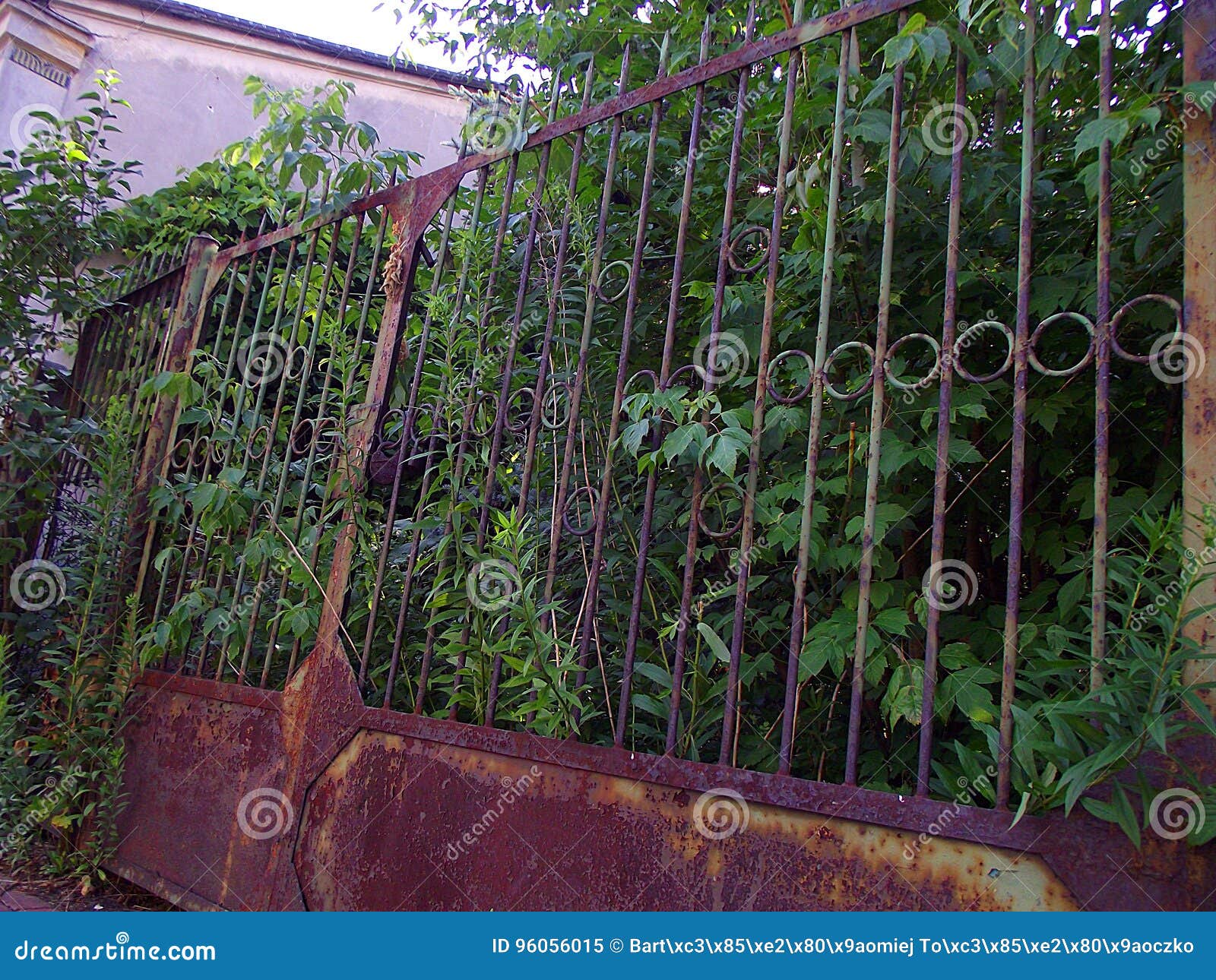 Abandoned gate stock image. Image of rusty, details, door - 96056015