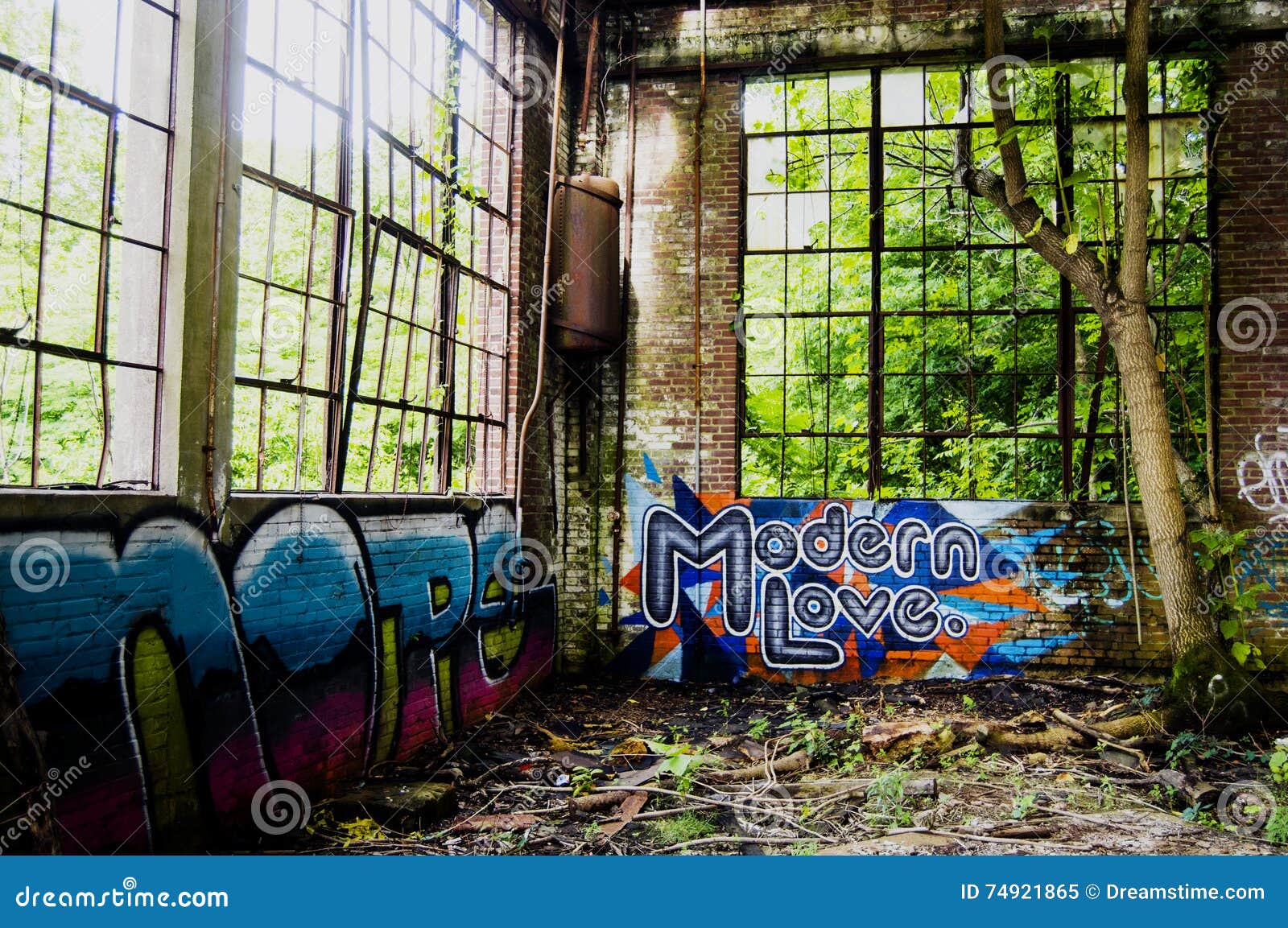 Abandoned Graffiti stock image. Image of neglected, ancient - 74921865