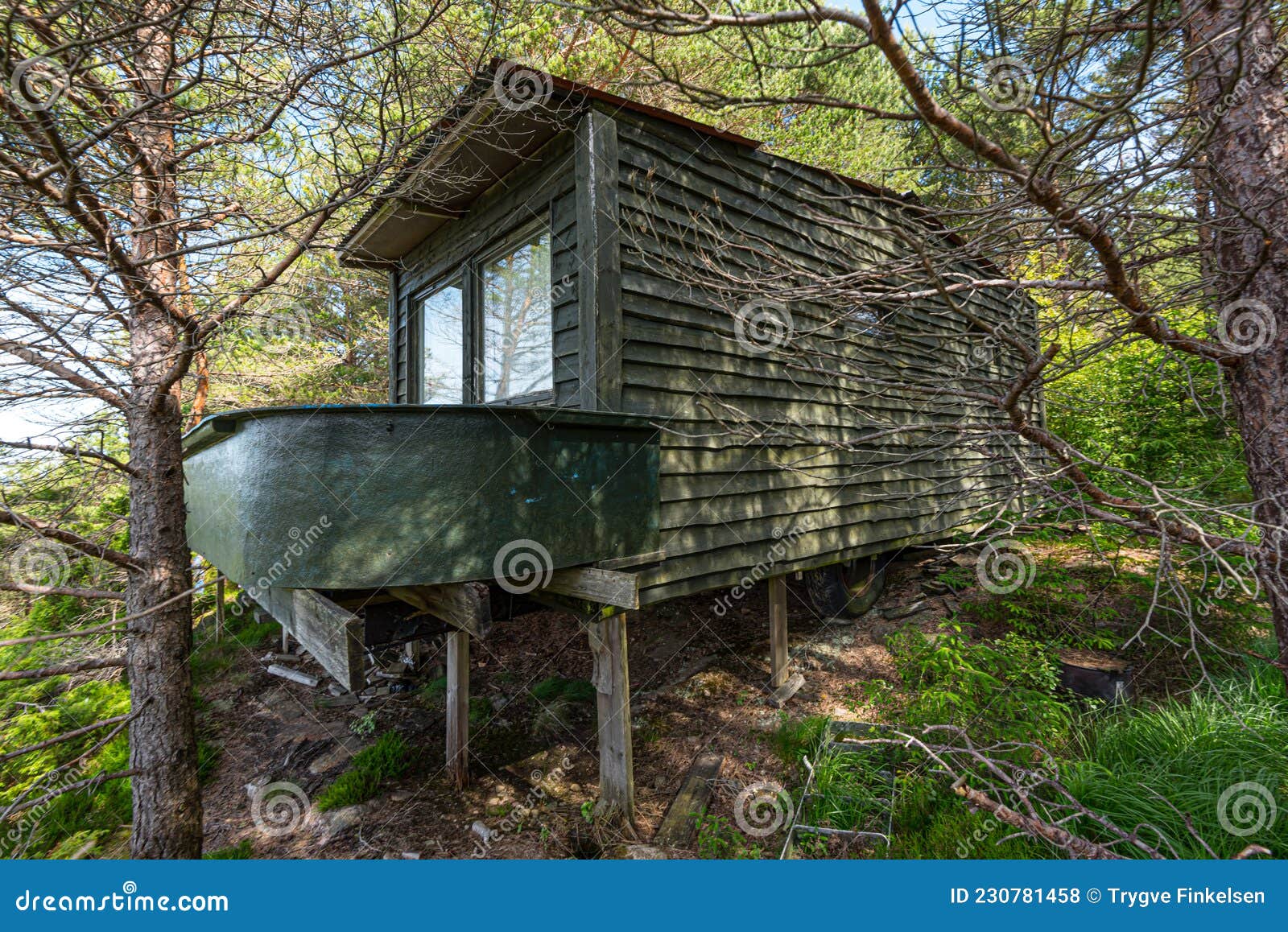 Abandoned Green Hut in the Forest Stock Photo - Image of rural, wall ...