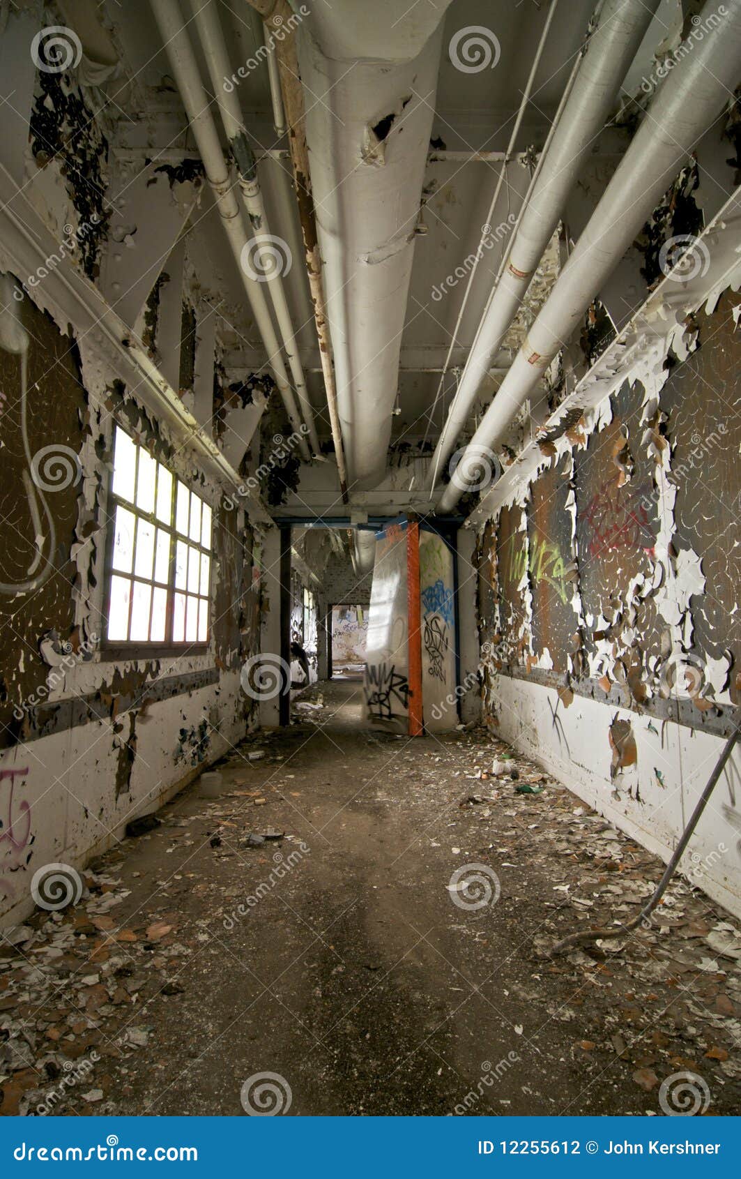 Abandoned Hallway stock photo. Image of dirty, rustic - 12255612