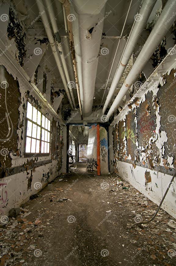 Abandoned Hallway stock photo. Image of dirty, rustic - 12255612