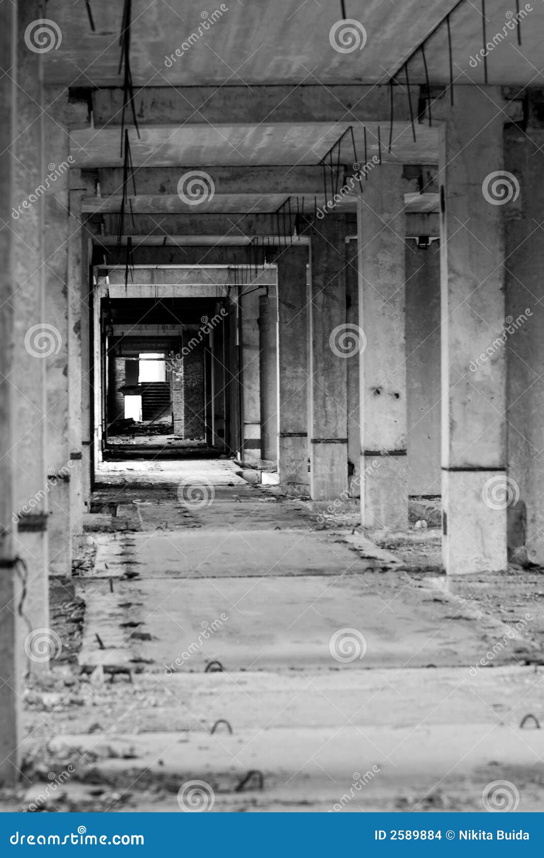 Abandoned hallway stock photo. Image of construction, postapocalyptic ...