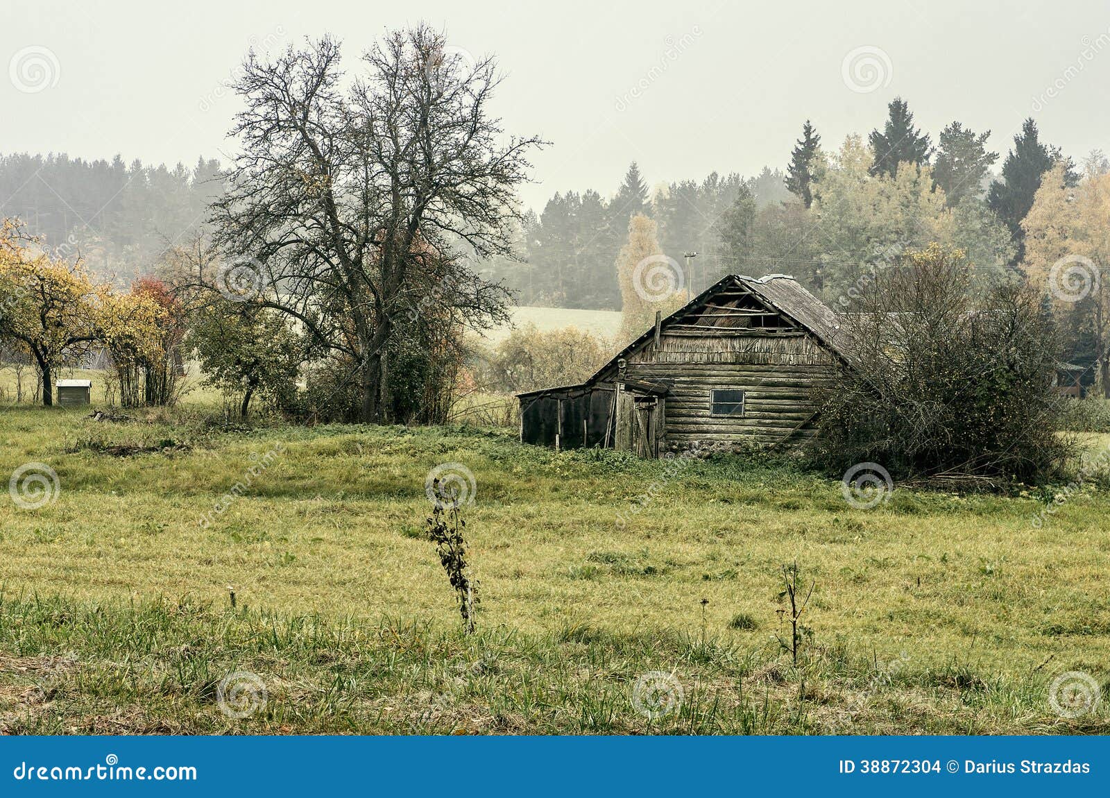 Abandoned House in Countryside Stock Photo - Image of wooded, rundown ...