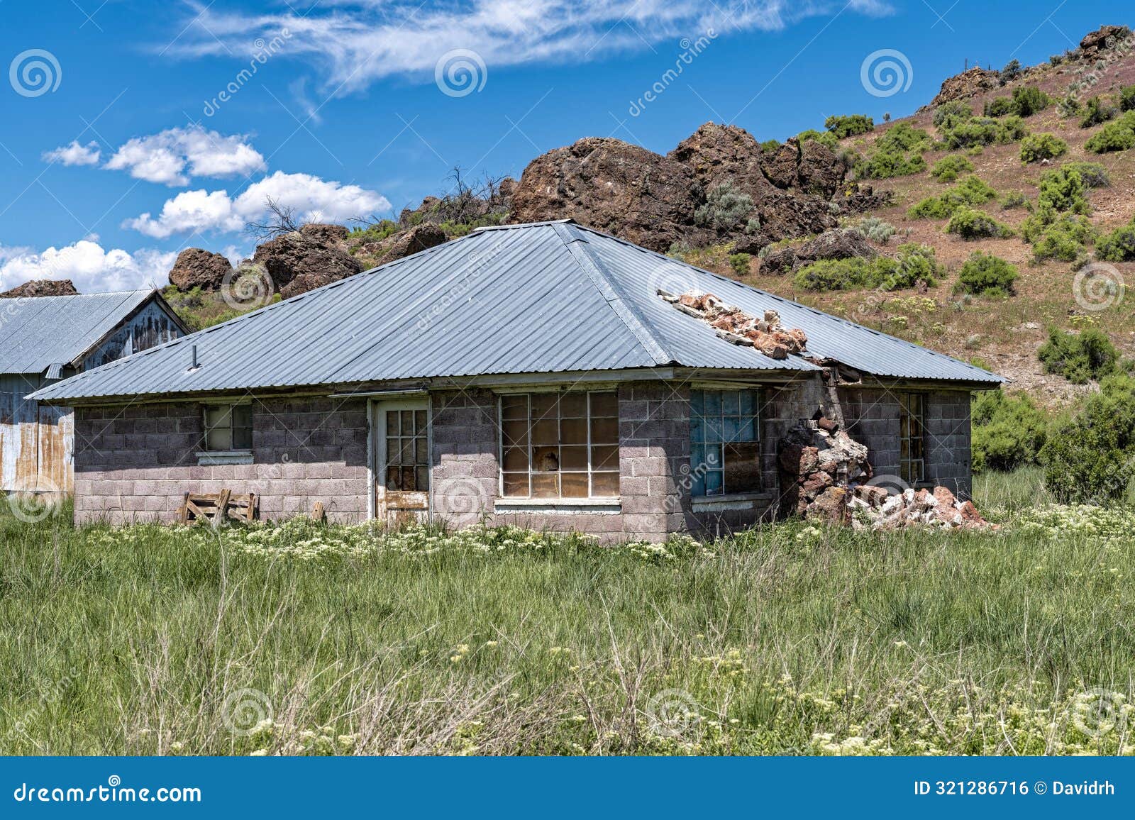 An Abandoned House with a Crumbling Chimney and Overgrown Yard Stock ...