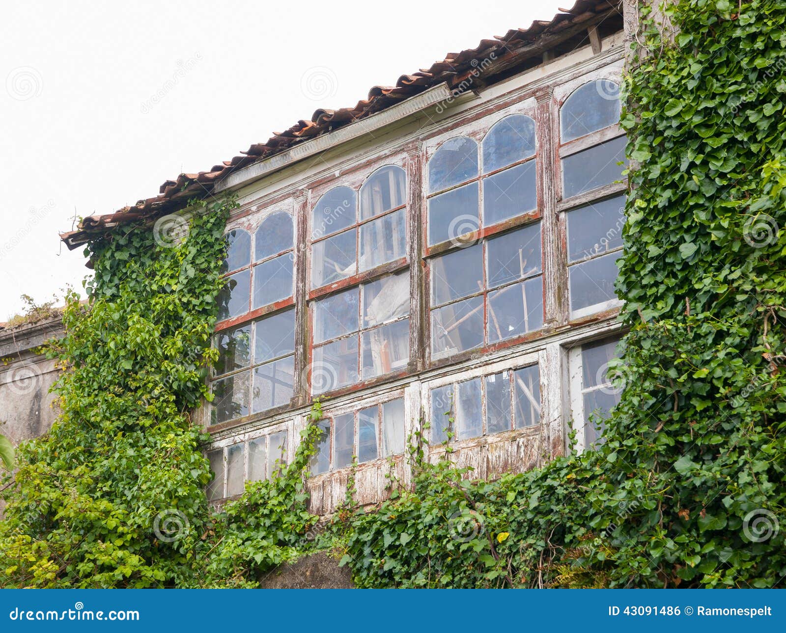 Abandoned House Invaded by Nature Stock Photo - Image of natural, ruins ...