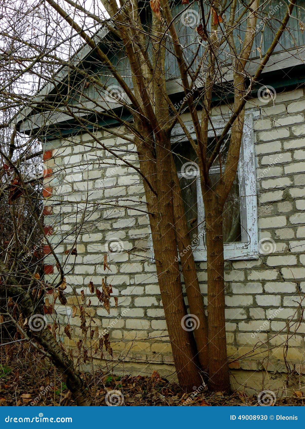 Abandoned house stock photo. Image of building, dilapidated - 49008930