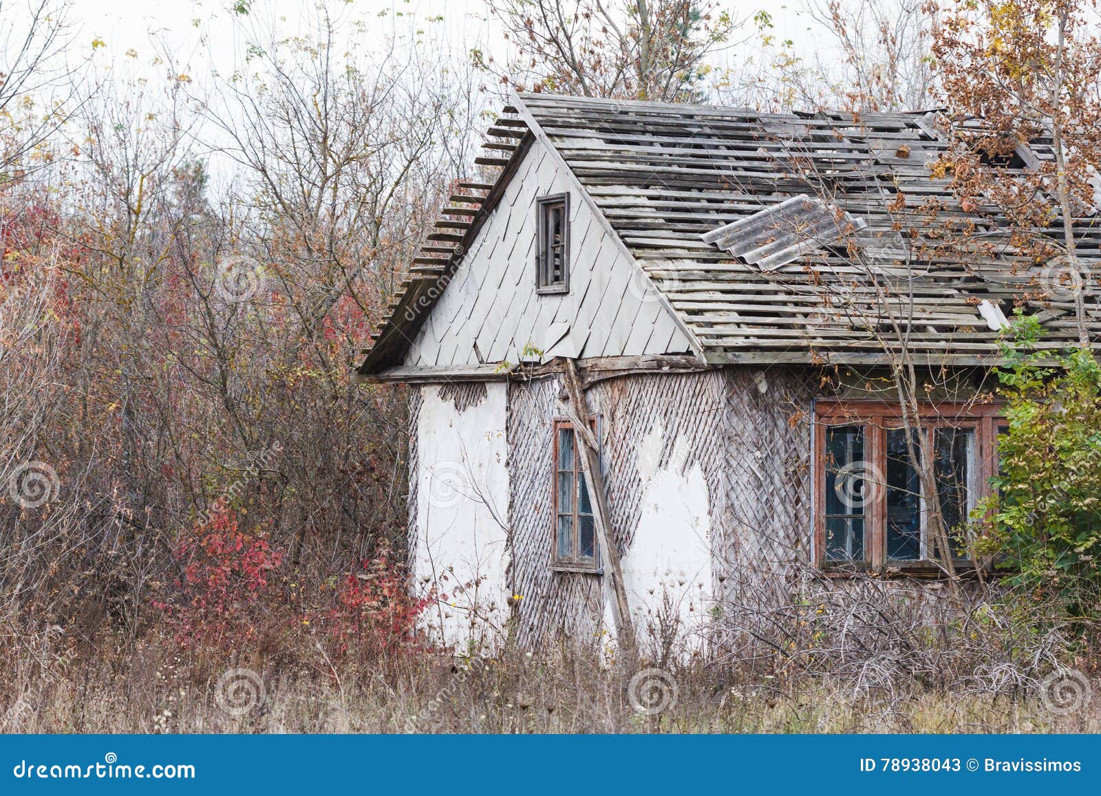 Abandoned Hut among Trees and Bushes Stock Image - Image of lost, cabin ...