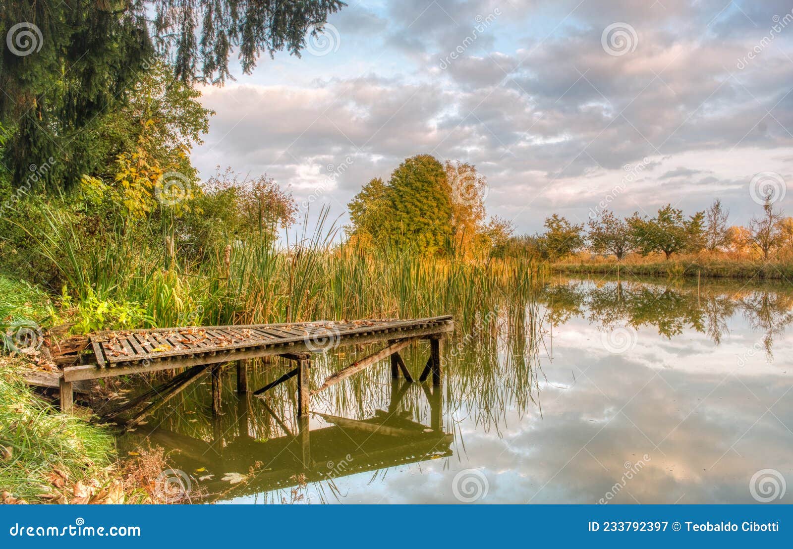 Abandoned Jetty at a Small Pond Stock Image - Image of abandoned, flora ...