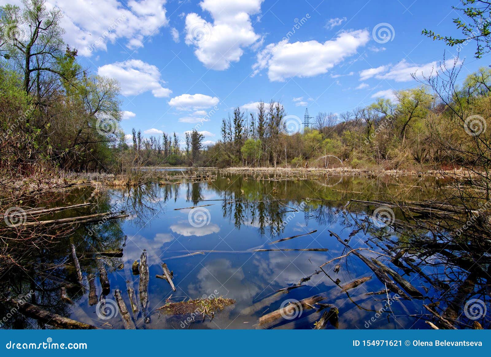 Abandoned Lake with Fallen Rotten Trees and Reflection of White Clouds ...