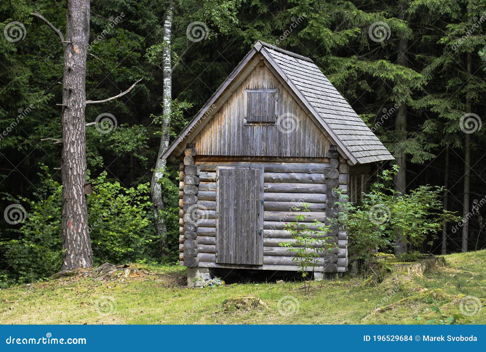 Abandoned and Locked Cabin in the Woods Stock Photo - Image of tree ...