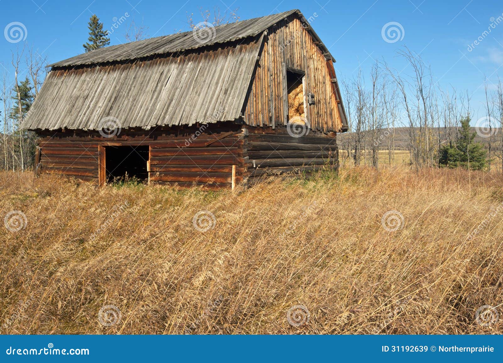 Abandoned Log Barn in Grassy Field Stock Image - Image of barn, pasture ...