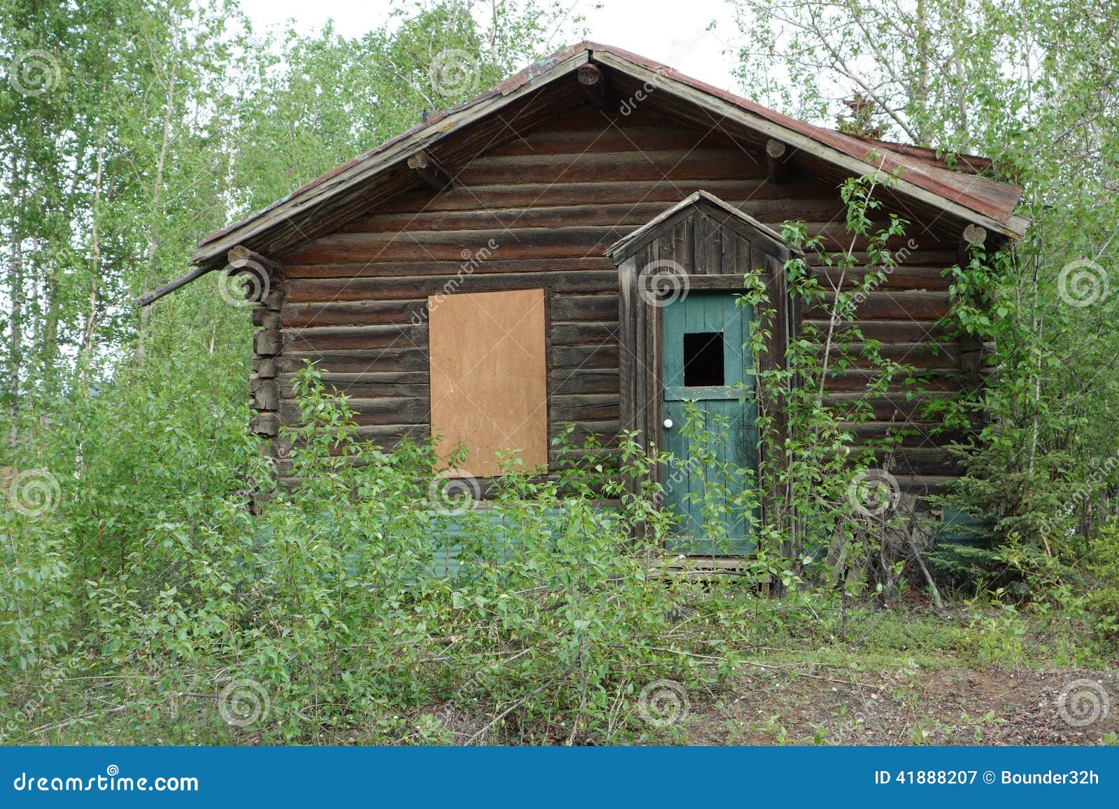 An abandoned log cabin stock image. Image of trees, door - 41888207