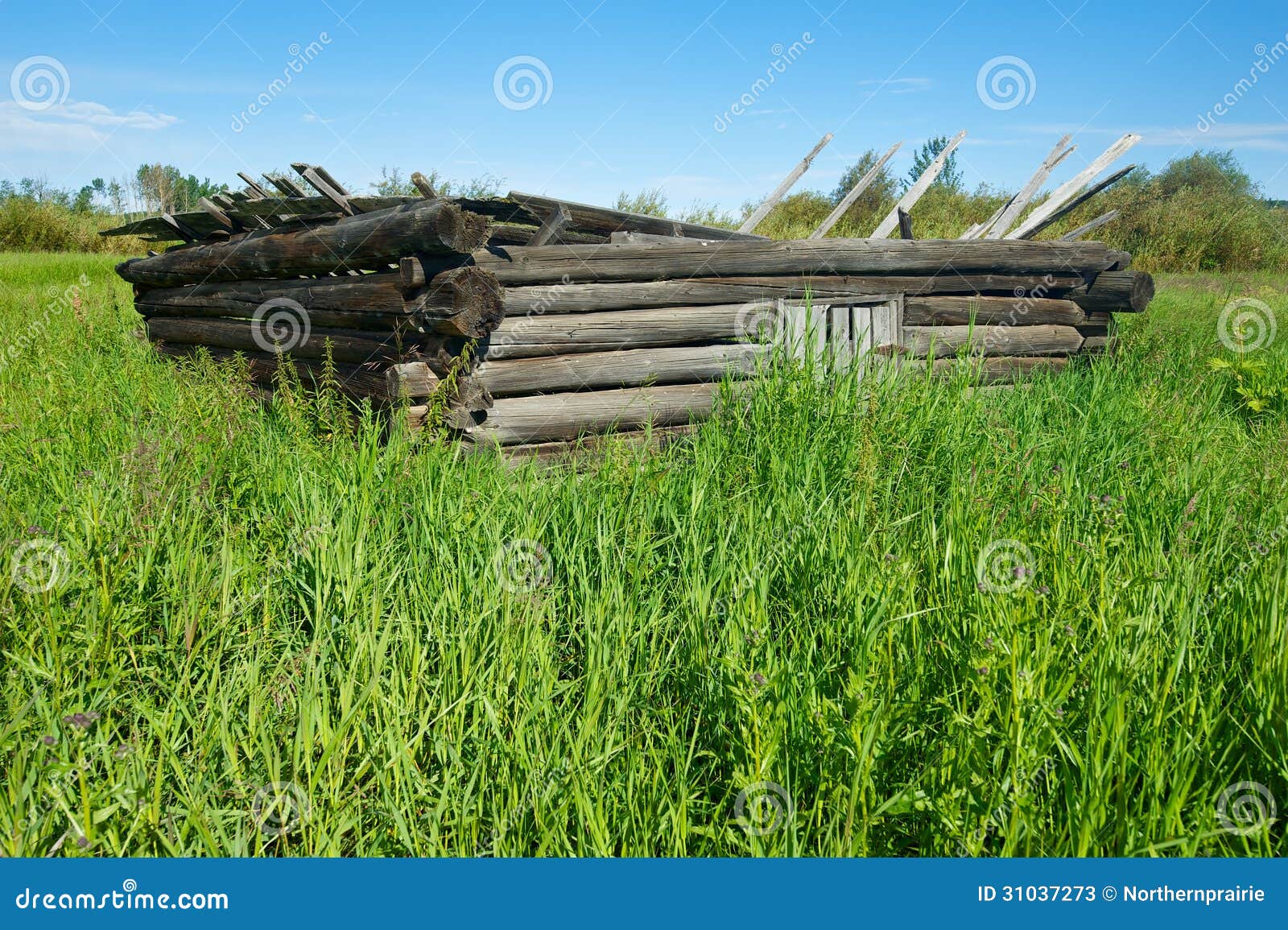 Abandoned Log Cabin in a Grassy Filed in Summer Stock Image - Image of ...