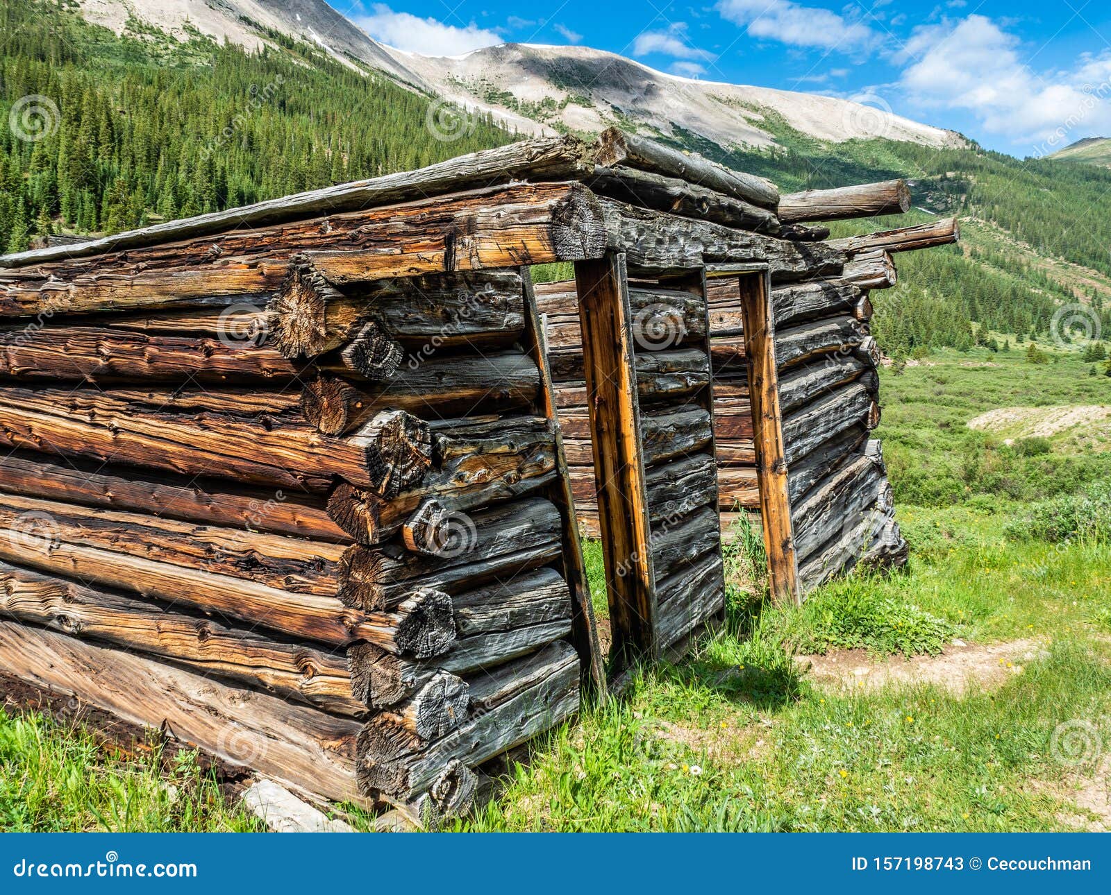 Abandoned Log Cabin stock image. Image of colorado, doorway - 157198743