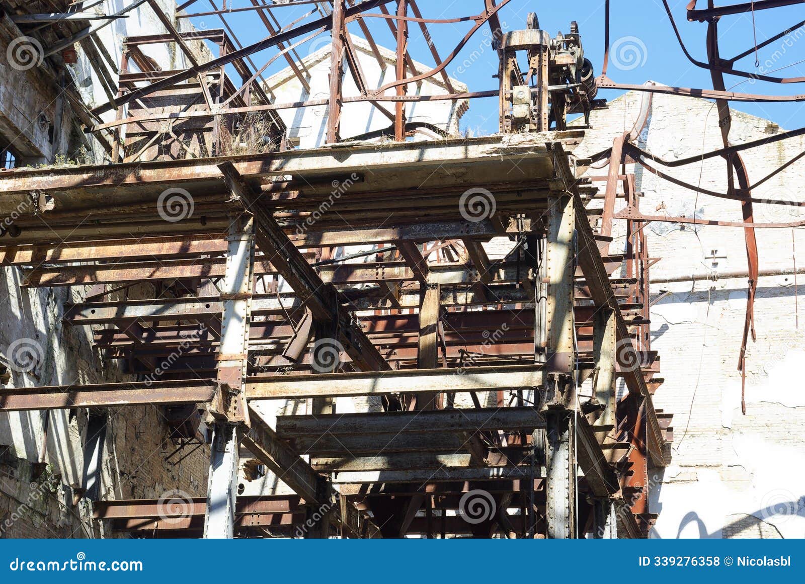 Structure Of Beet Root Under A Microscope Stock Image | CartoonDealer ...