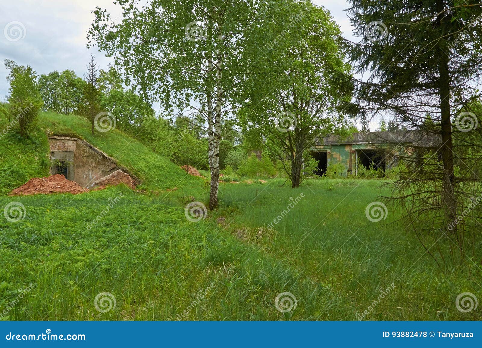Abandoned Military Base in Forest Stock Photo - Image of concrete ...