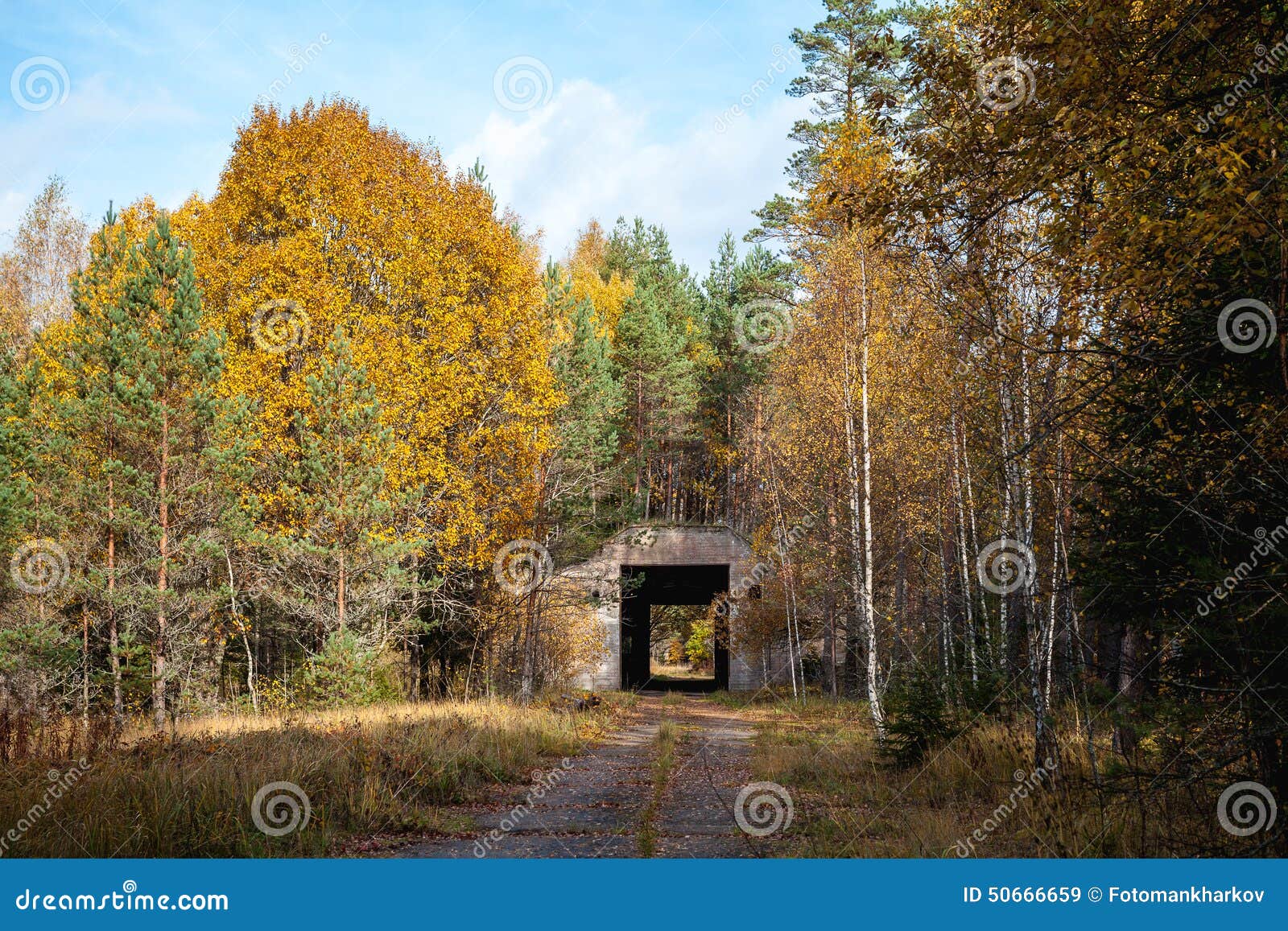 Abandoned Military Site - Air Base in the Forest Stock Image - Image of ...