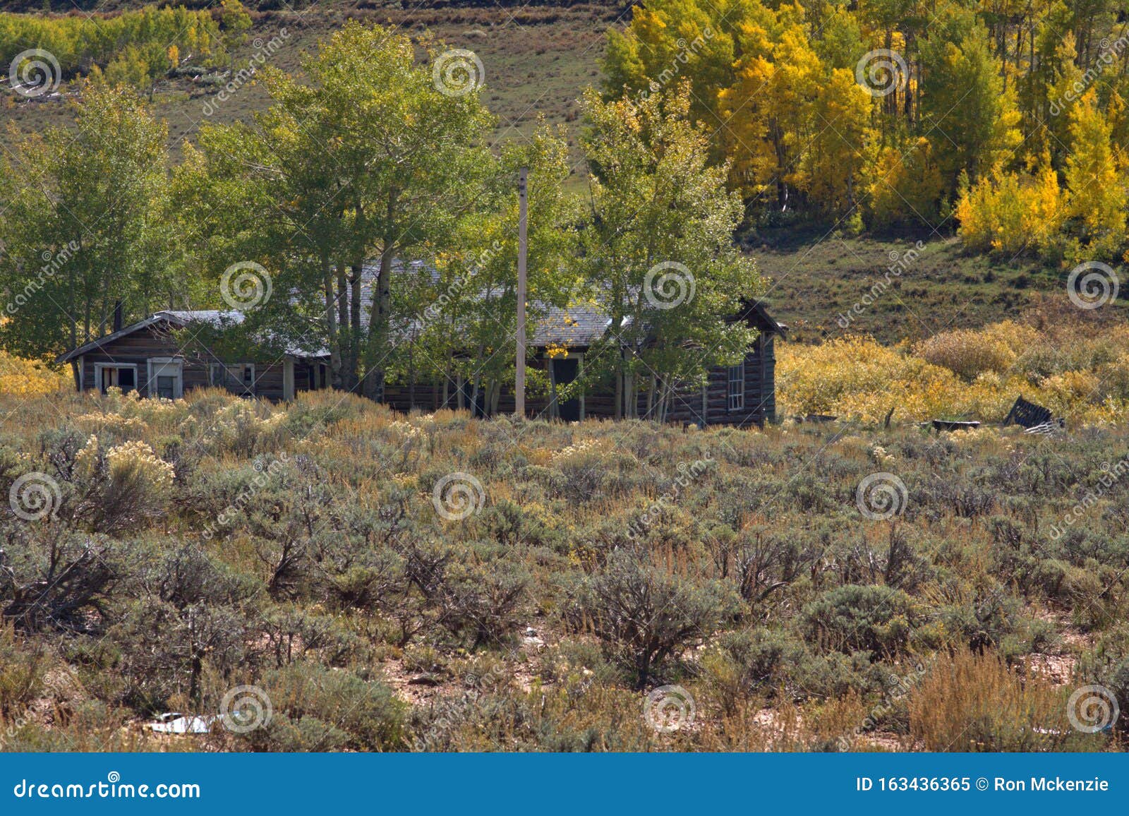 Abandoned Mountain Cabin in a Mountain Meadow Stock Image - Image of ...