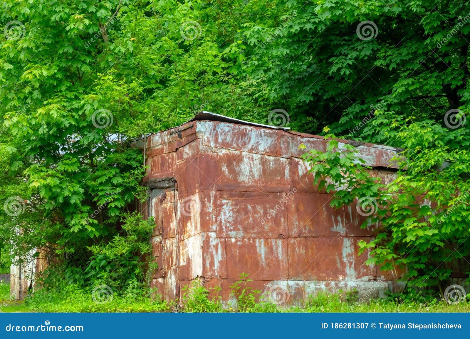 Abandoned Old Buildings in the Forest Covered with Rusty Sheets of Tin ...