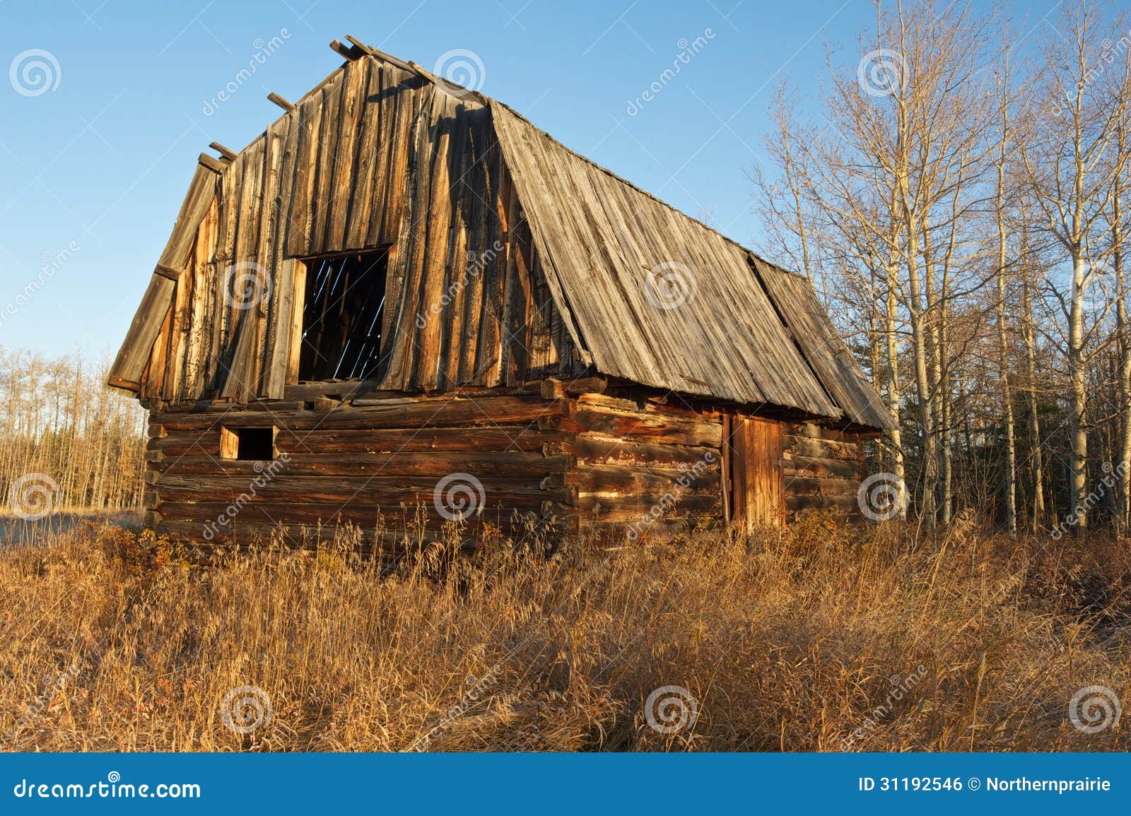 Abandoned Old Log Barn in Fall Stock Photo - Image of decay, rural ...