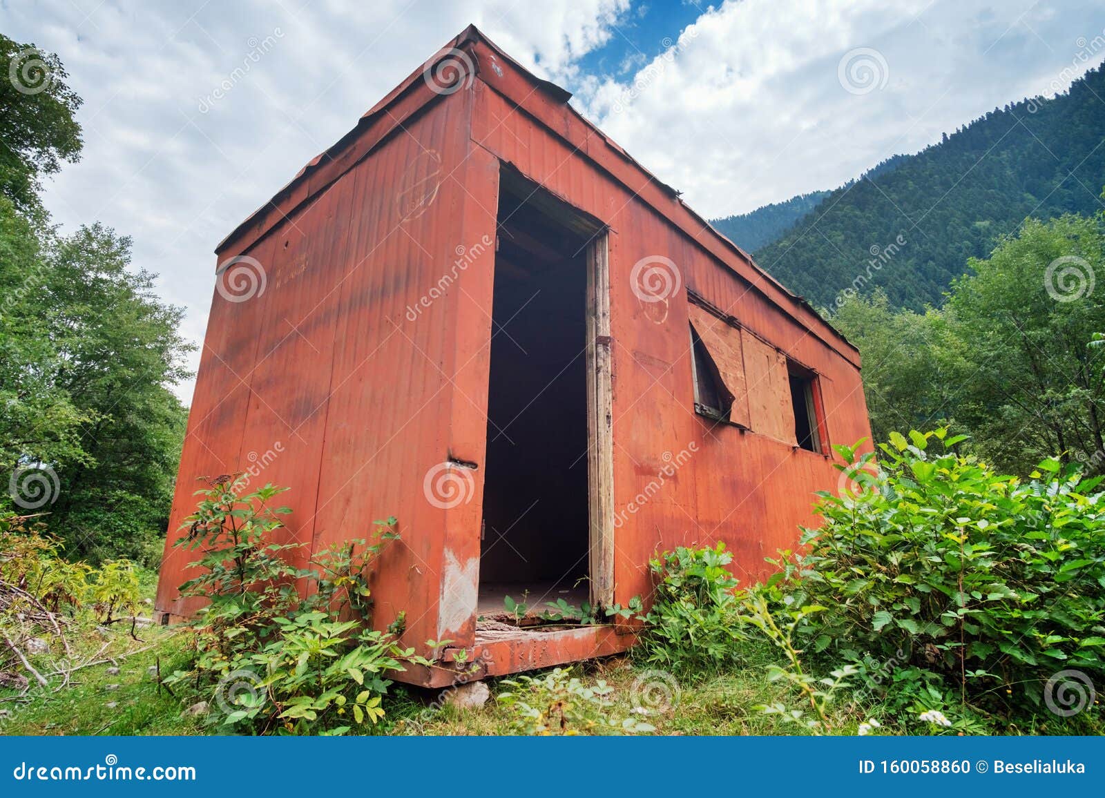 Abandoned Old Rusted Cargo Container the Forest Stock Photo - Image of ...