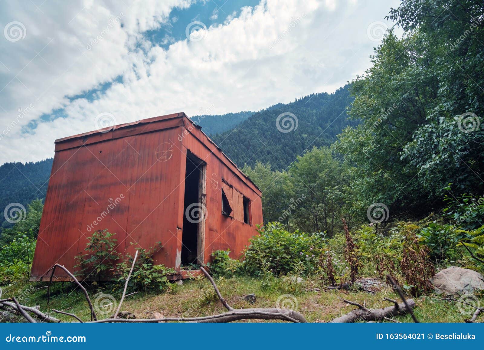Abandoned Old Rusted Cargo Container the Forest Stock Image - Image of ...