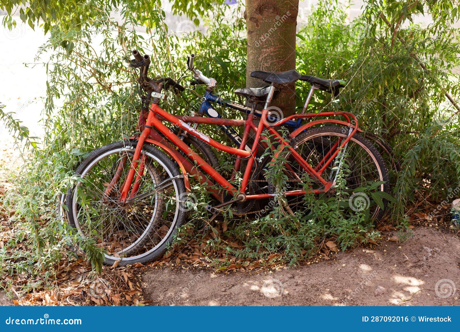 Abandoned Old Rusty Bicycle Against a Tree Stock Photo - Image of ...