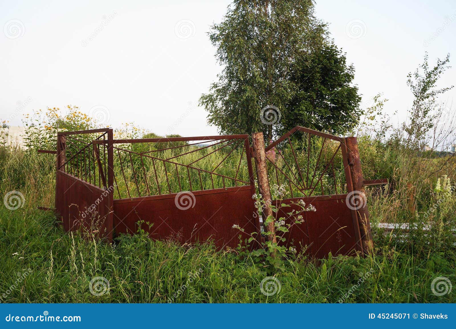 Abandoned Old Rusty Gate on Wasteland Stock Image - Image of built ...