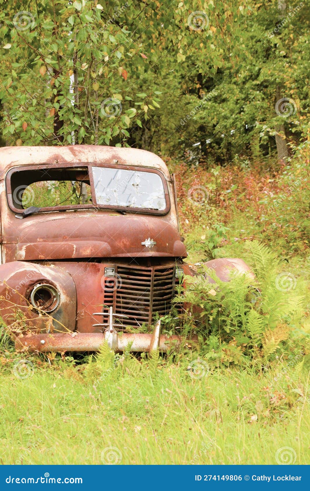 Abandoned, Old, Rusty Truck Sitting in Overgrown Grass Stock Photo ...