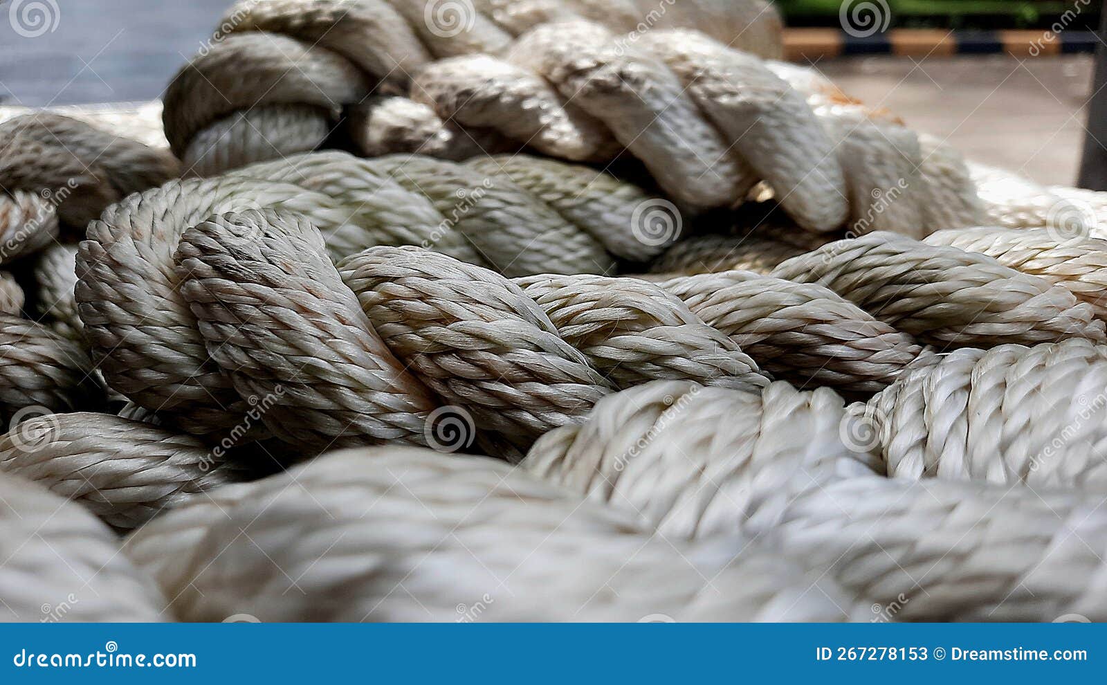 Abandoned old ship rope stock image. Image of breakfast - 267278153