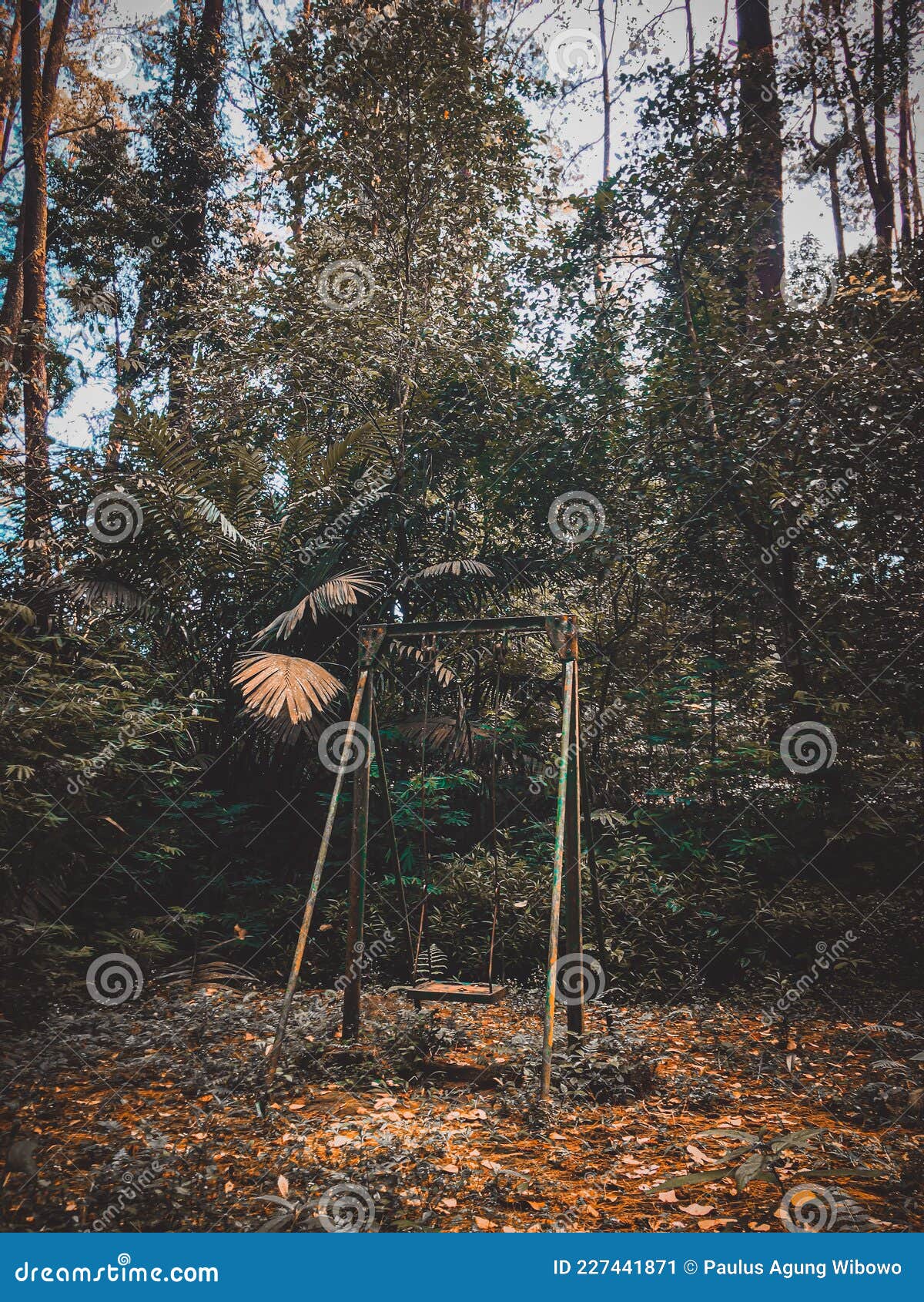 Horror swing stock image. Image of swing, forest, horror - 227441871