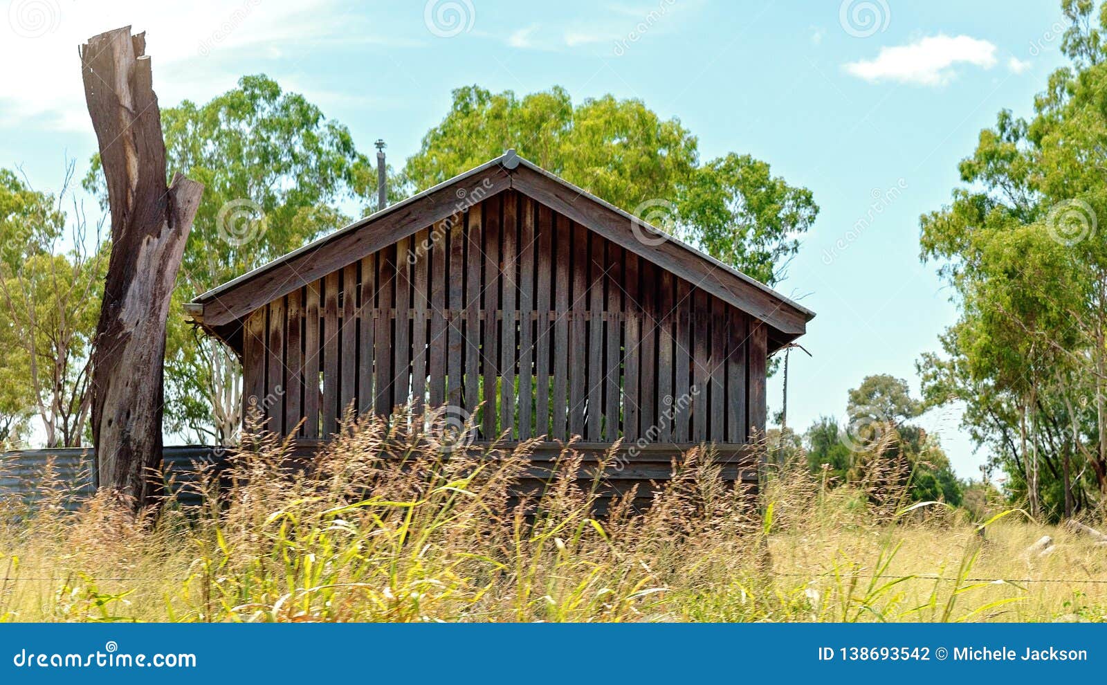 Abandoned Old Timber Hut Fronted by Tall Grass Stock Photo - Image of ...