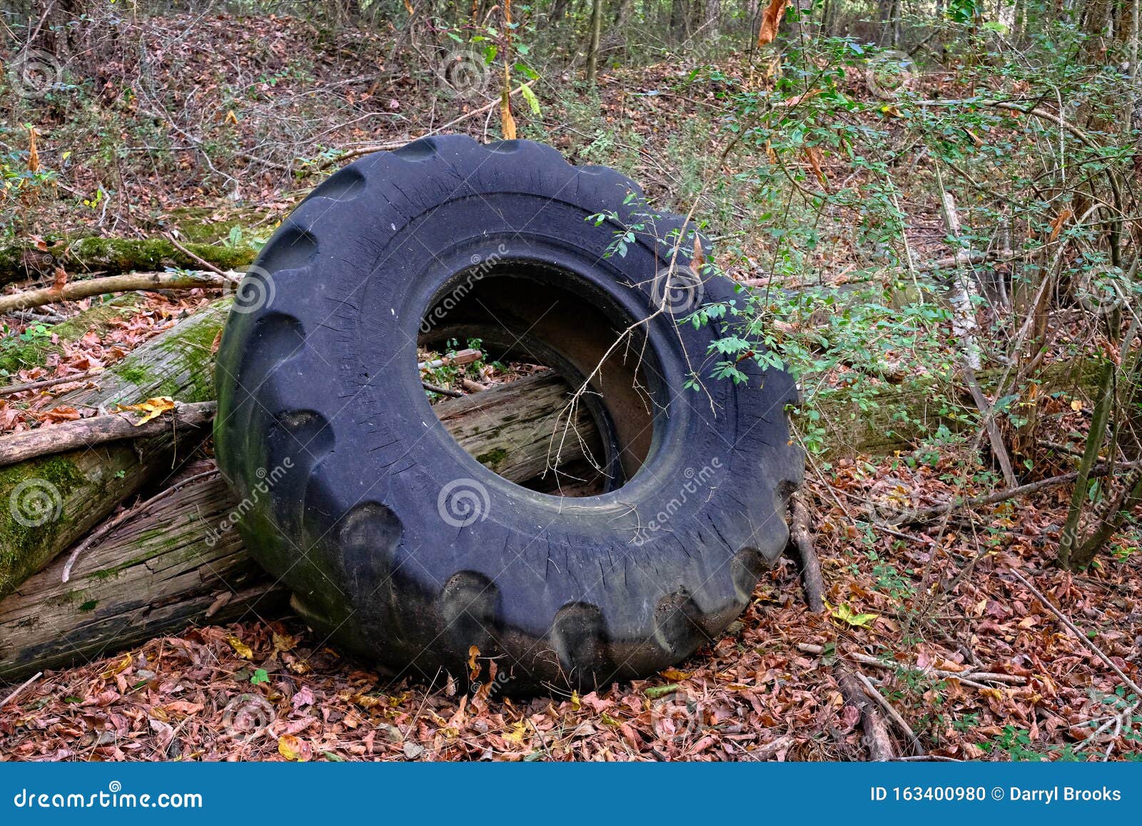 Old Truck Tire in Forest stock photo. Image of tire - 163400980