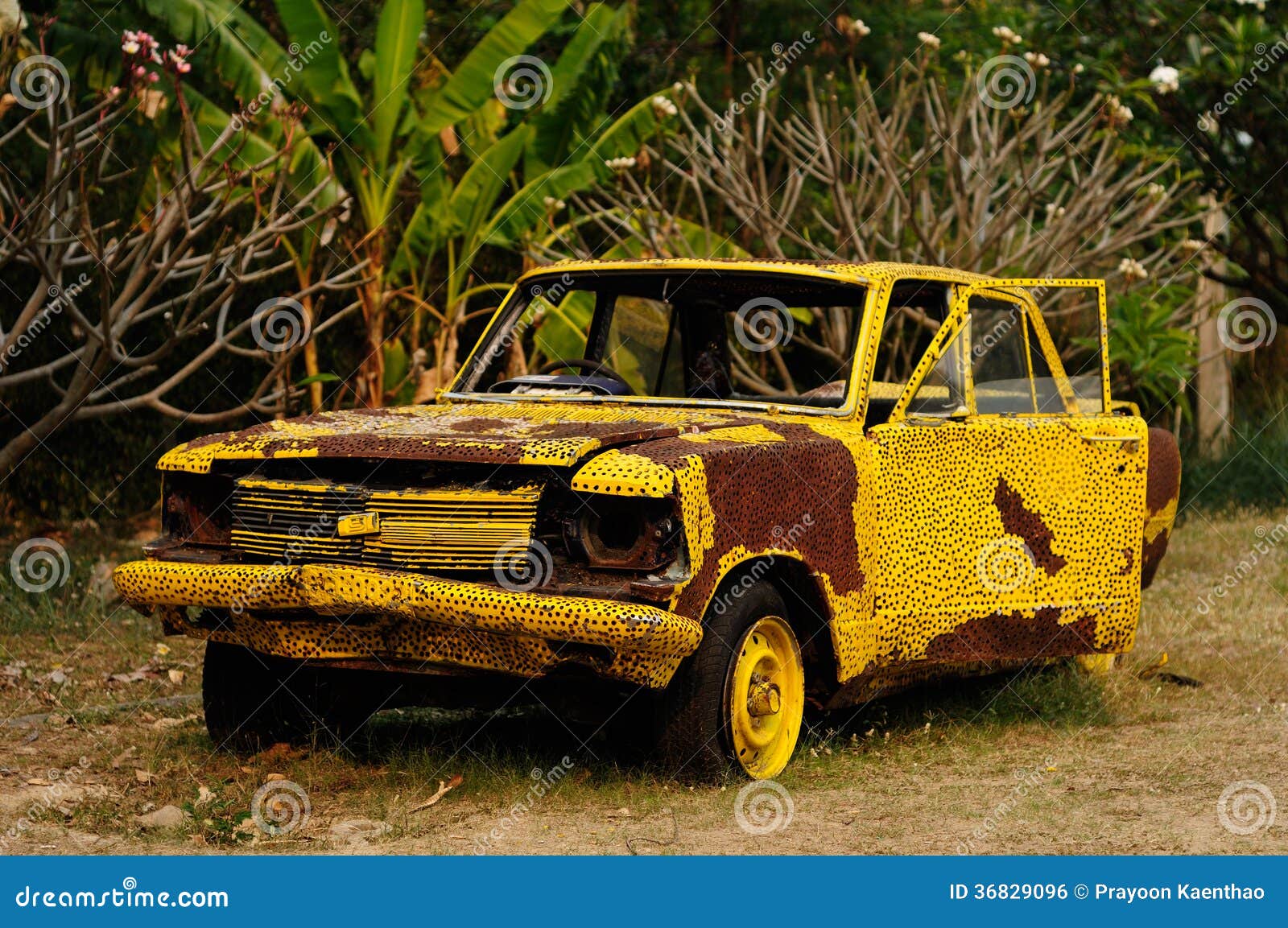 Abandoned Old Yellow Car Rusting in a Field Editorial Photo - Image of ...