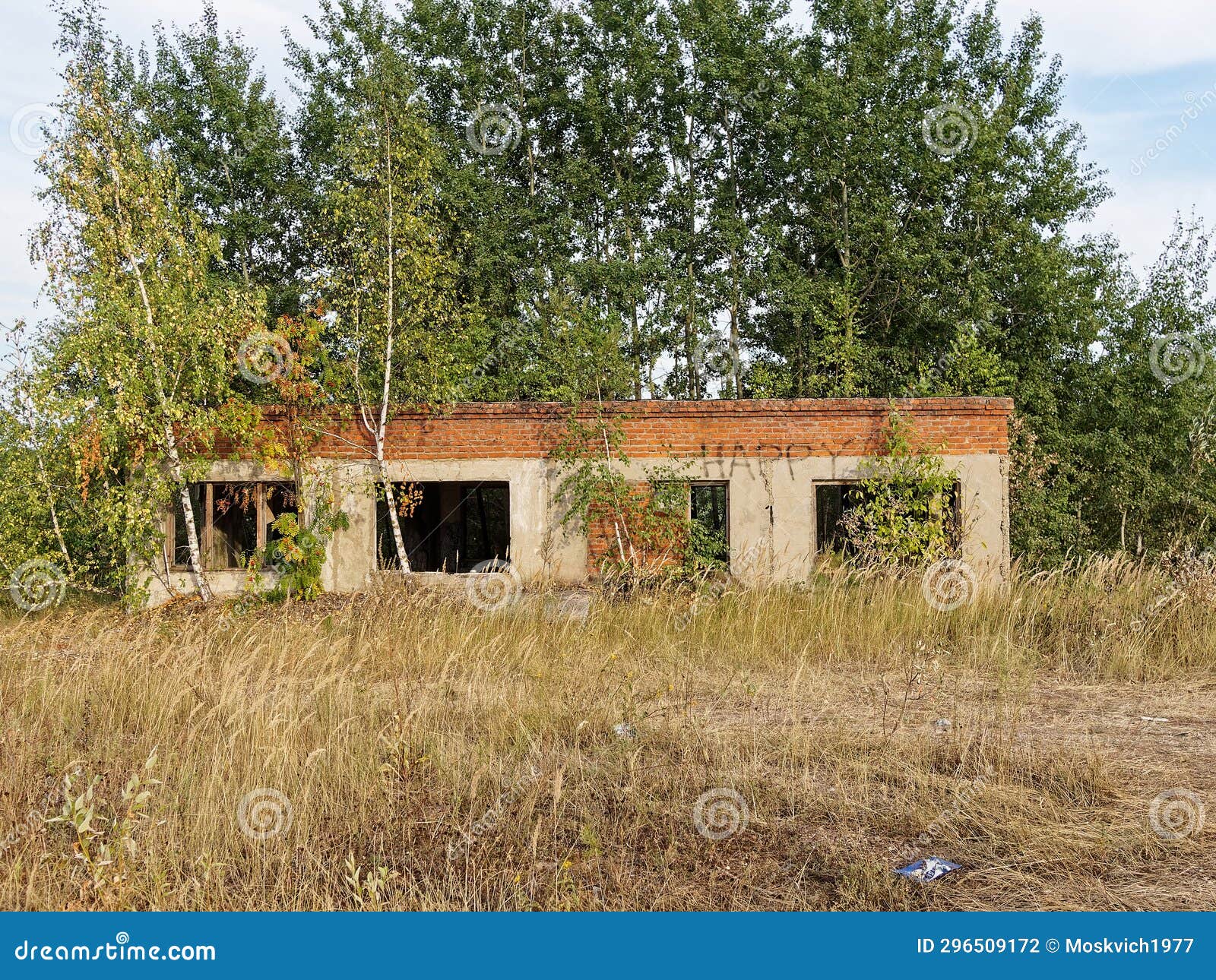 Abandoned One-storey Brick Building Stock Photo - Image of trees, house ...