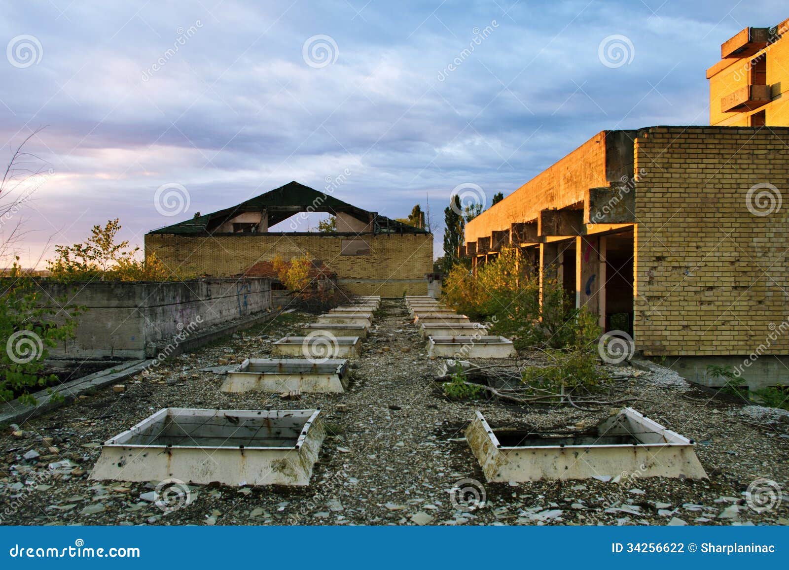 Abandoned Overgrown Building Stock Photo - Image of house, blue: 34256622