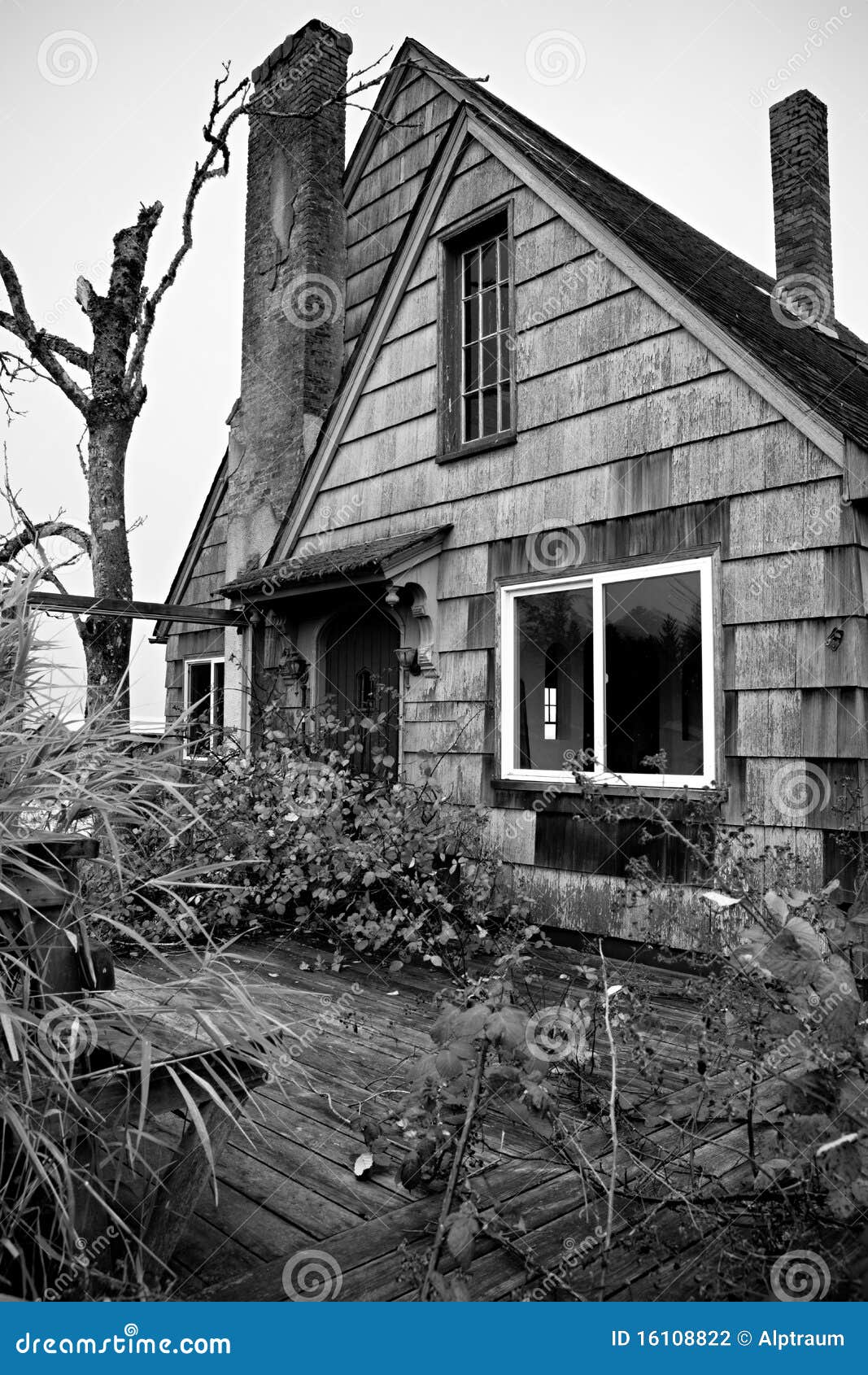 Abandoned overgrown house stock photo. Image of architecture - 16108822