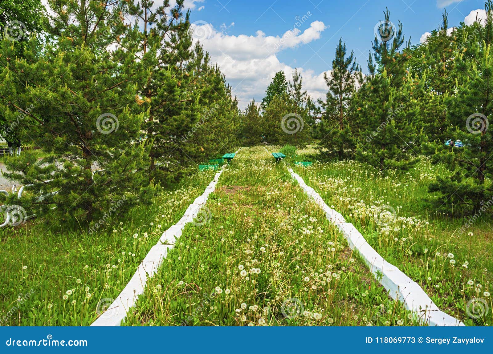 Overgrown Path In The Jungle Stock Image | CartoonDealer.com #191005147