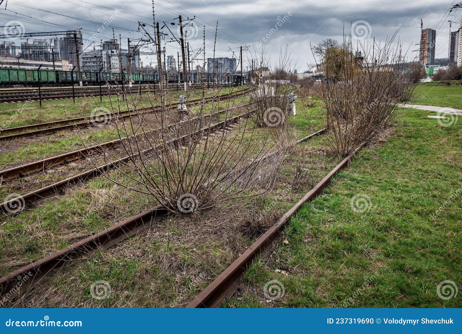 Abandoned Overgrown Railway Stock Photo - Image of metal, construction ...