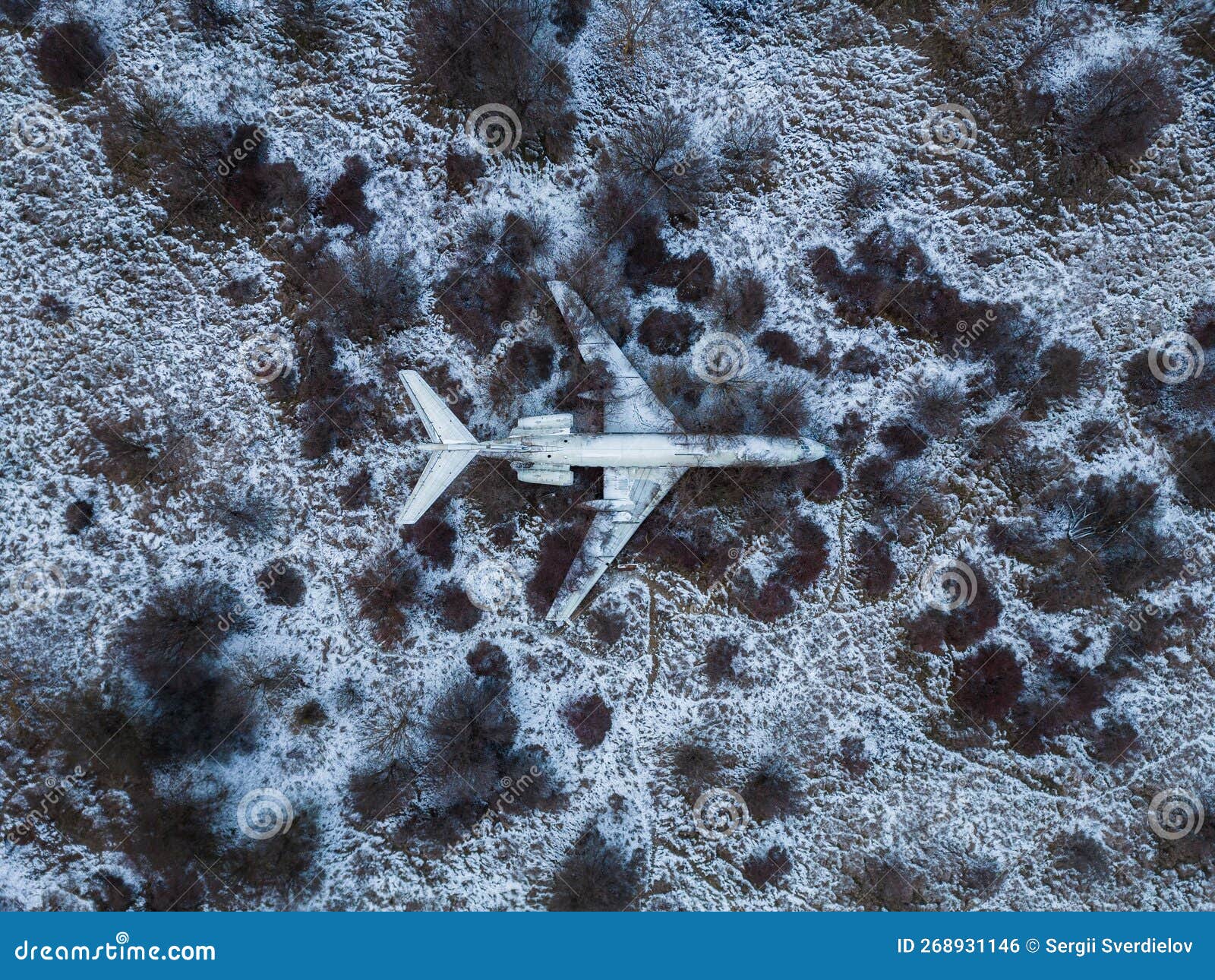 Abandoned Passenger Plane Wreck in the Forest in Winter Stock Photo ...